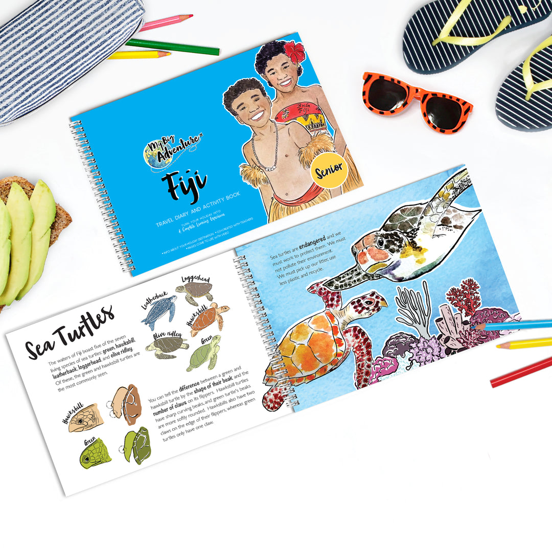 Fiji Travel Diary & Activity Books Senior Edition - My Big Adventure ...